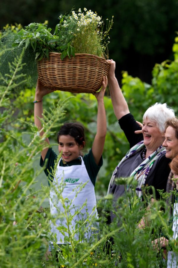 Stephanie Alexander Kitchen Garden Program | Fasci Garden