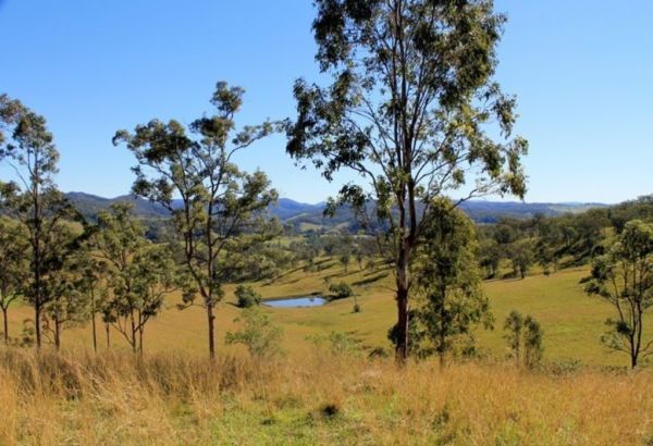 Escape to Kyogle, NSW: ‘A feeling that you can find nowhere else’