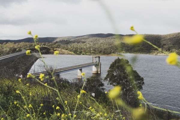 ‘There will be more growth here over time’: What is the allure of ...