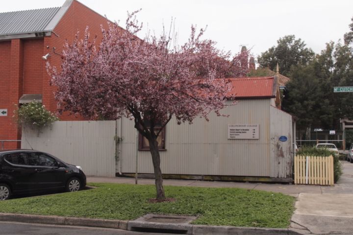 Victoria's smallest house and its incredible history
