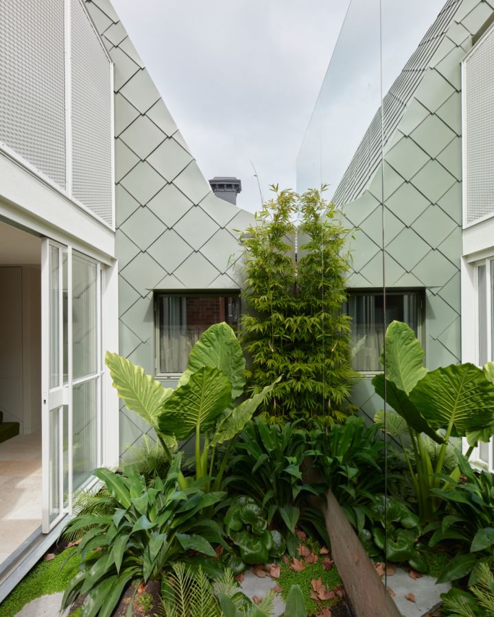 The cabbage craze: How the humble vegetable became interior design’s ...