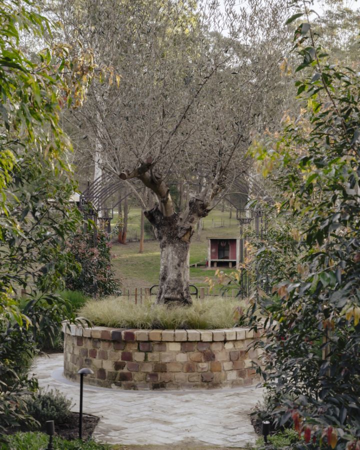This garden in Glossodia was inspired by one of Sydney’s most beloved cafes