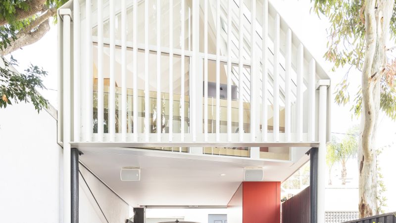 Home among the gumtrees: How Aileen Sage Architects created a 'tree ...