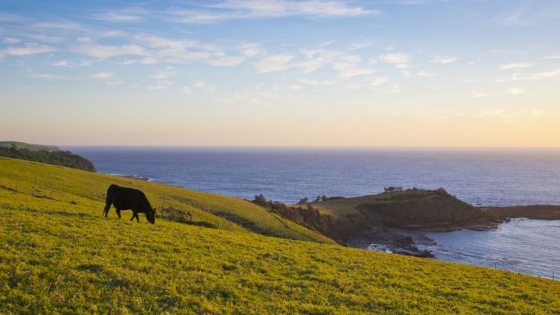 Fashion identity Robby Ingham scores $11.3m South Coast auction high ...