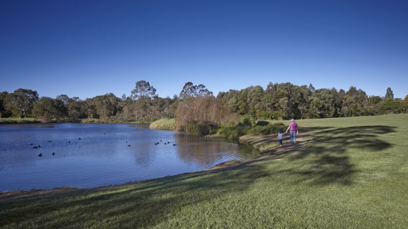 Fig Tree Pocket: The Brisbane suburb so beautiful, locals happily go ...