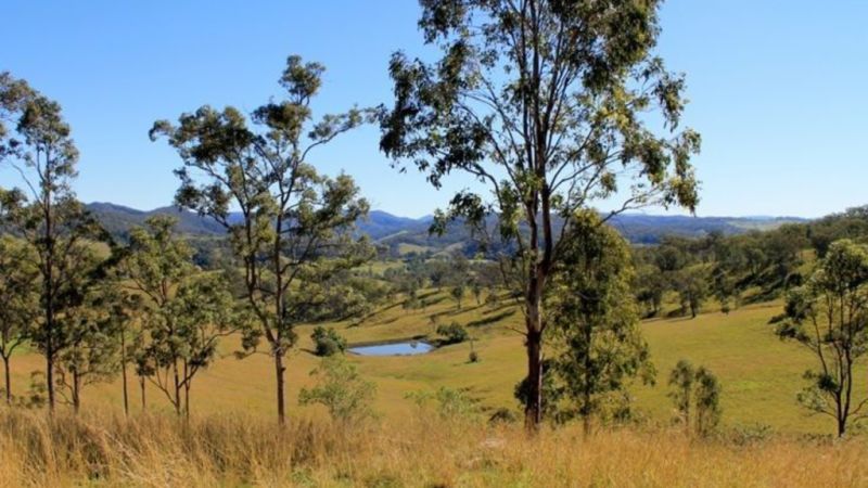 Escape to Kyogle, NSW: 'A feeling that you can find nowhere else'