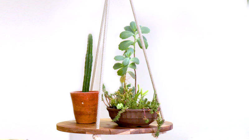 How to make a hanging plant tray