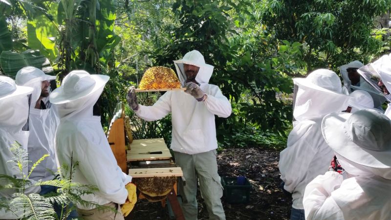 backyard beekeeping australia