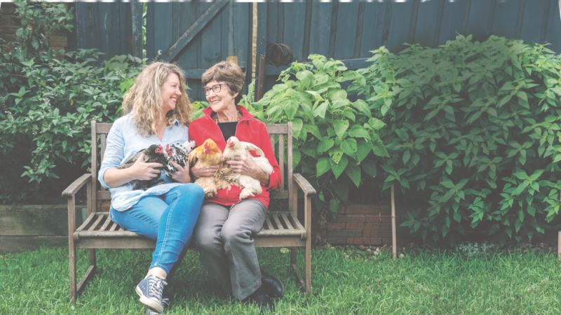 This Chicken Life: Backyard chickens and the people who love them