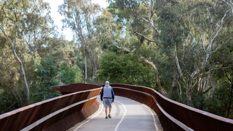 Alphington: The high achiever suburb going up in the ranks