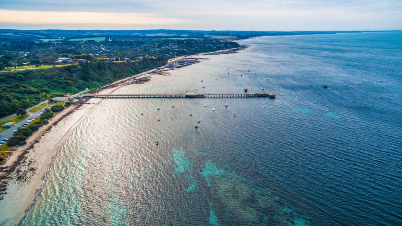 'It will never be overrun': why Flinders is the stress-free side of the ...