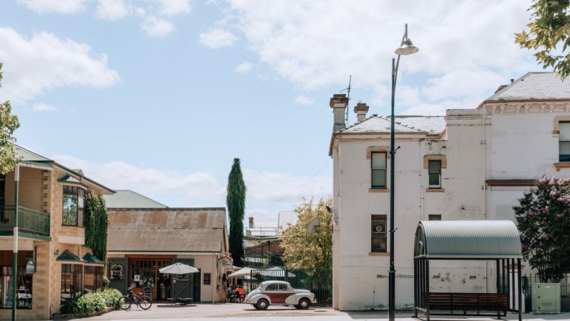 Tumut: The Snowy Valleys town proving itself to be the perfect tree ...