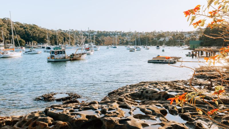 Fairlight: The 'good little sister' to Manly's sought-after lifestyle