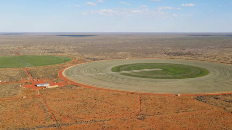 NT hay and cattle farm sold to Pickersgill family for $30m