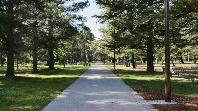 Make the most of summer with Canberra’s local parks