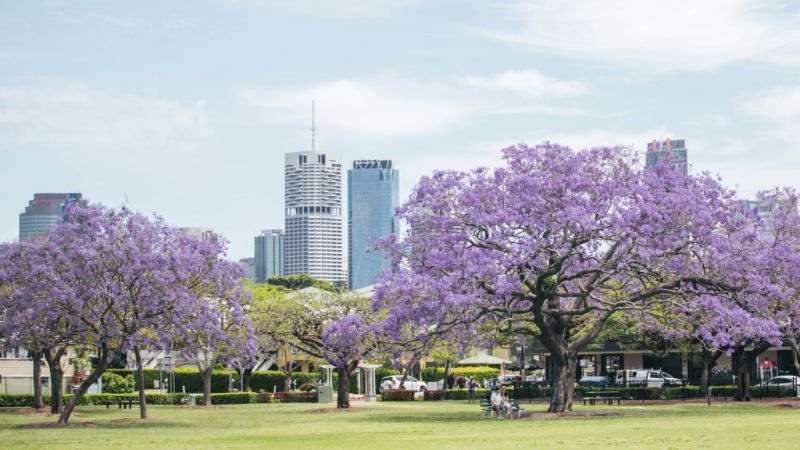 New Farm: Why even the pickiest home buyers call this suburb home