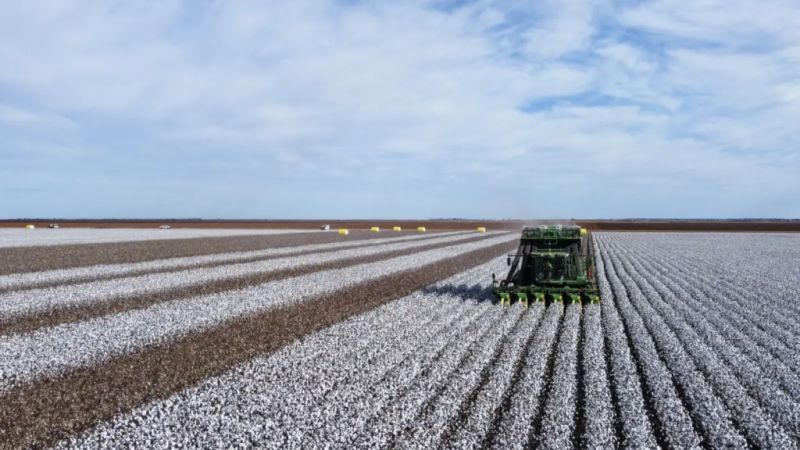Chinese textile exporter spends $120m on giant NSW cotton farm