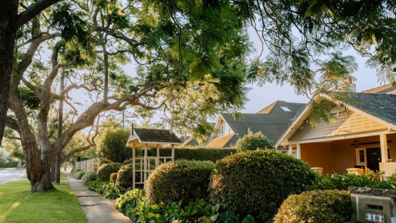 Lindfield: The upper north shore suburb that's a magnet for nature lovers