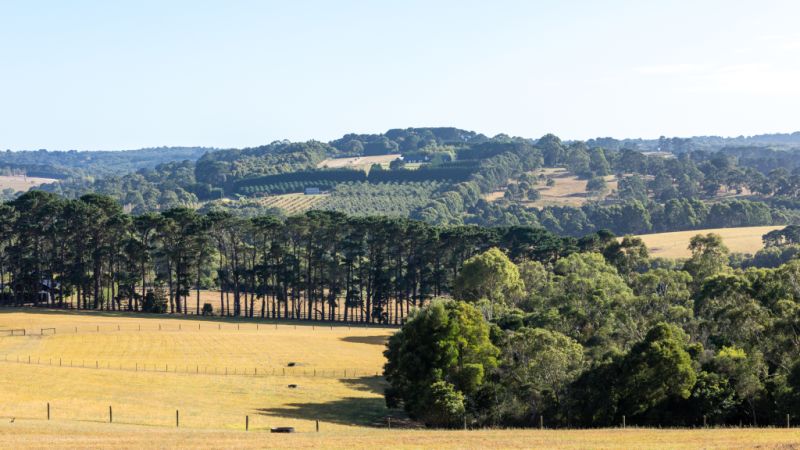 Main Ridge: An hour from Melbourne, yet worlds away in atmosphere