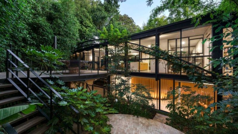 Urban rainforest in a suburb you would least expect