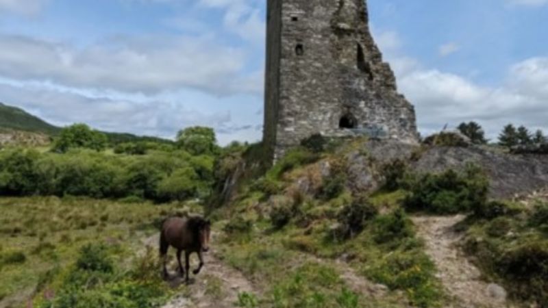 This historic castle is only $300,000...but it's a hazard