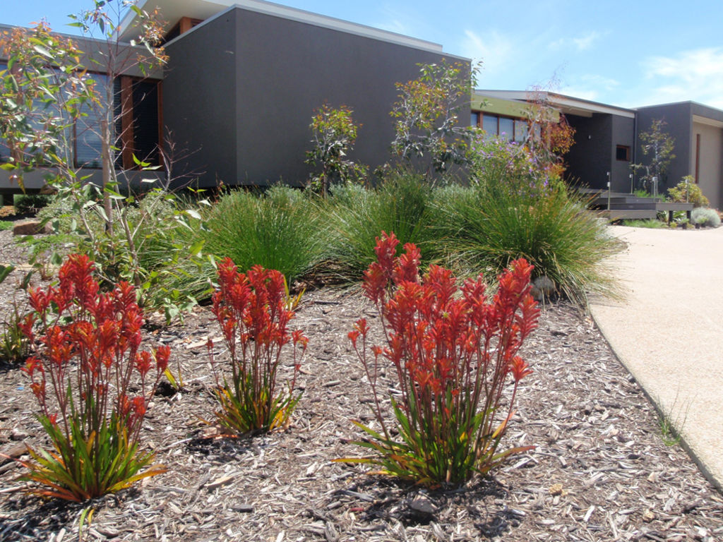 Low maintenance and imbued with Australian history: The case for native ...