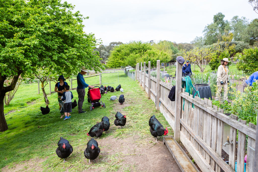 Eltham: Home of bohemians, box gums and Bunnings