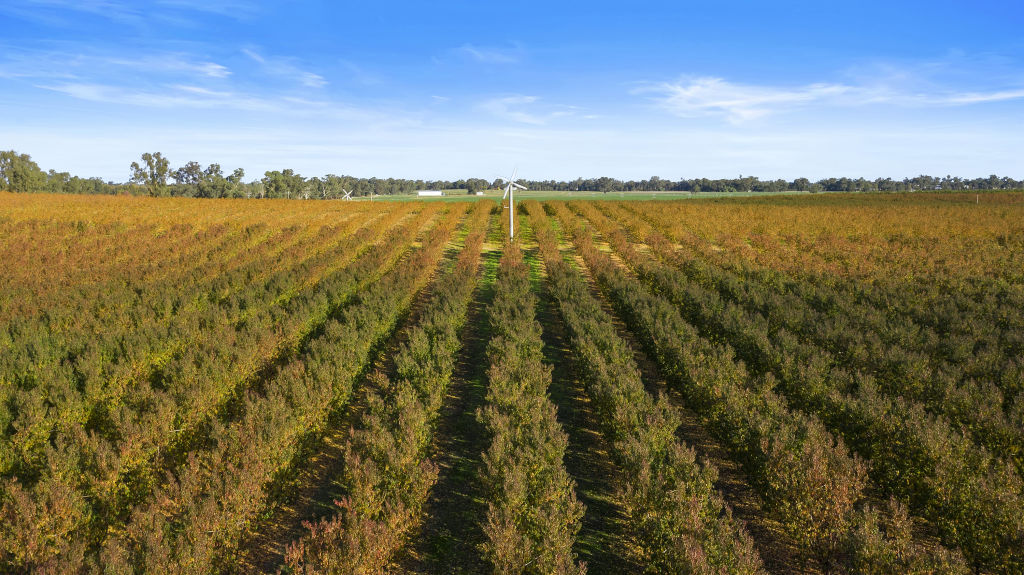 Sale and lease back of agricultural land a growing trend