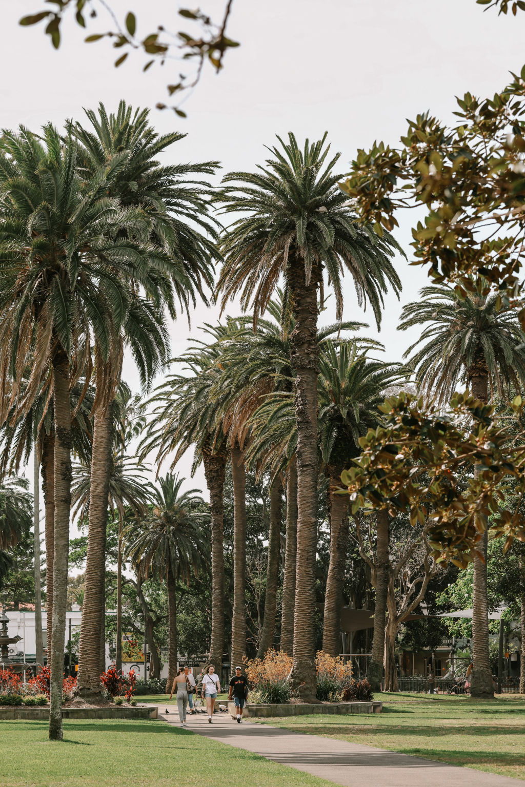 Redfern: the inner-city suburb that has become a family hotspot