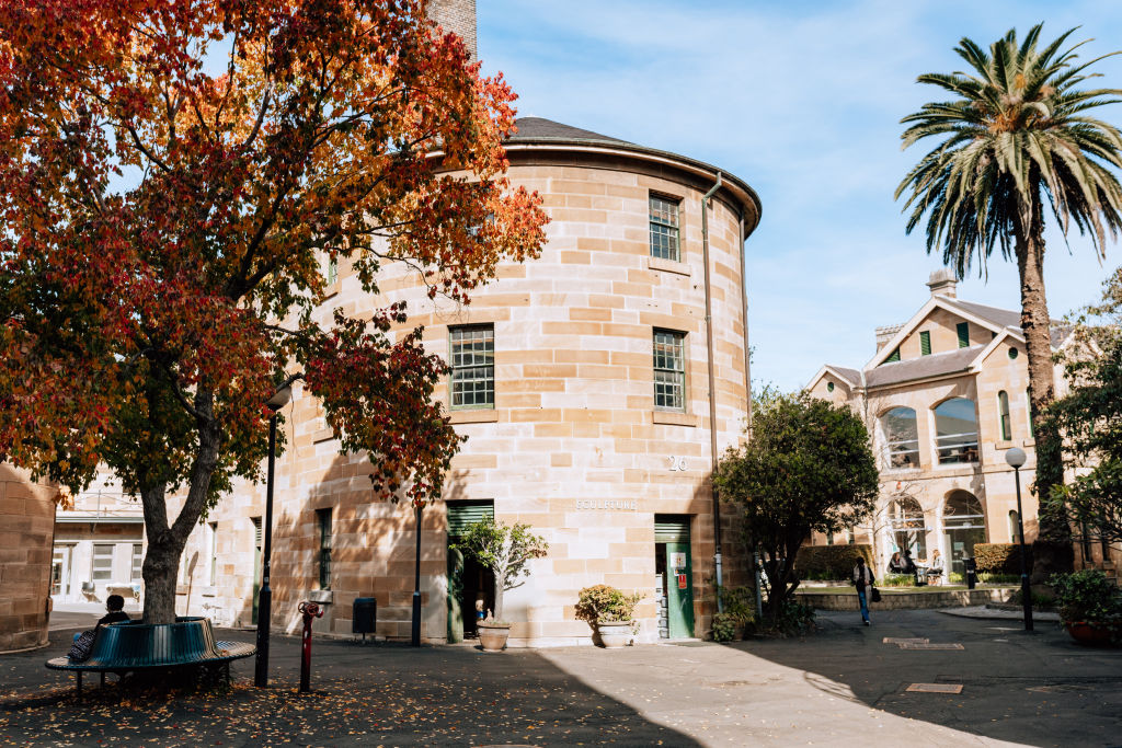 Darlinghurst: A cultural icon now home to families and downsizers
