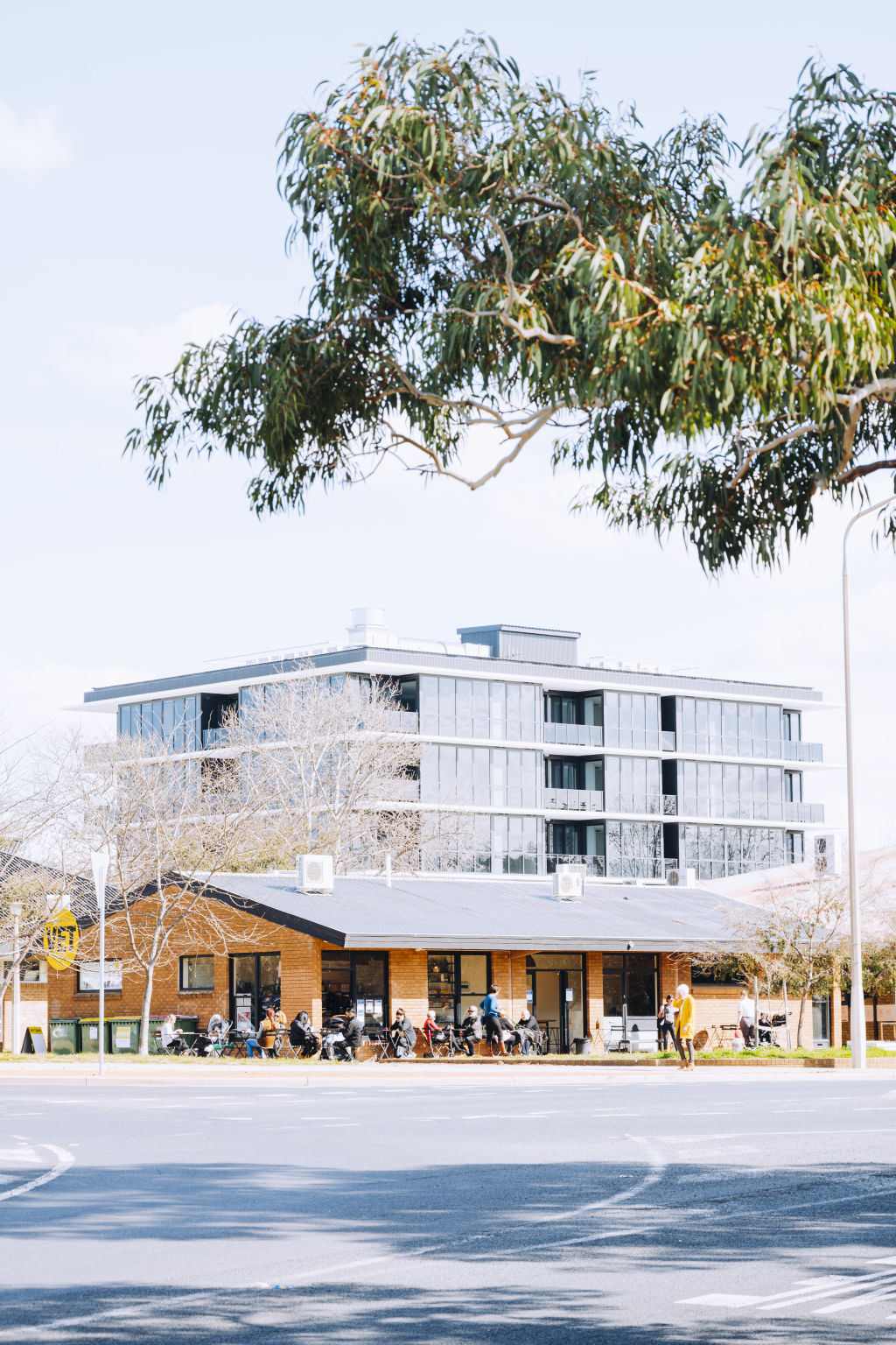 16 Landsborough Street, Griffith ACT 2603 | Allhomes