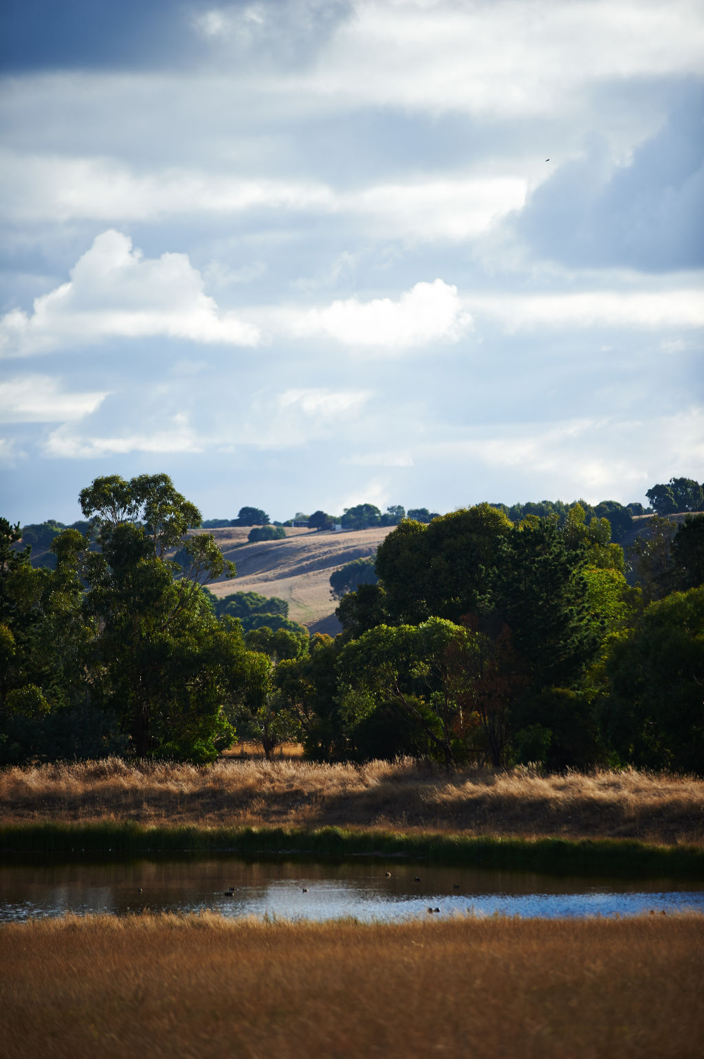 Out of Town: the rise and rise of Birregurra
