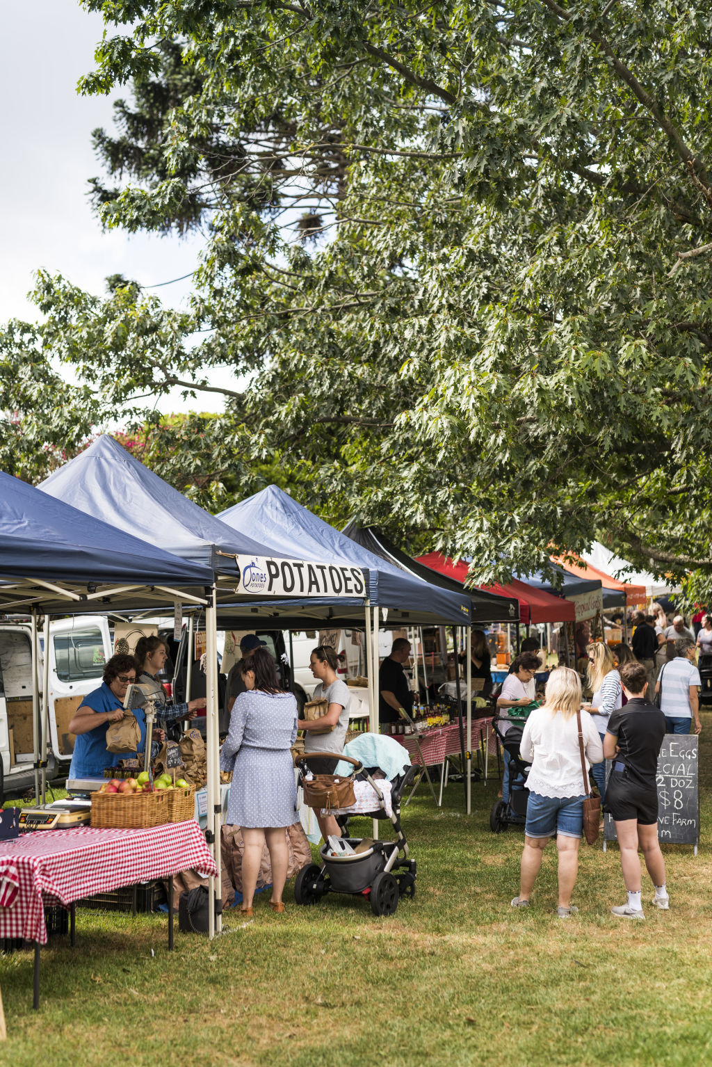 Warragul and Drouin: The two neighbouring tree-change towns competing ...