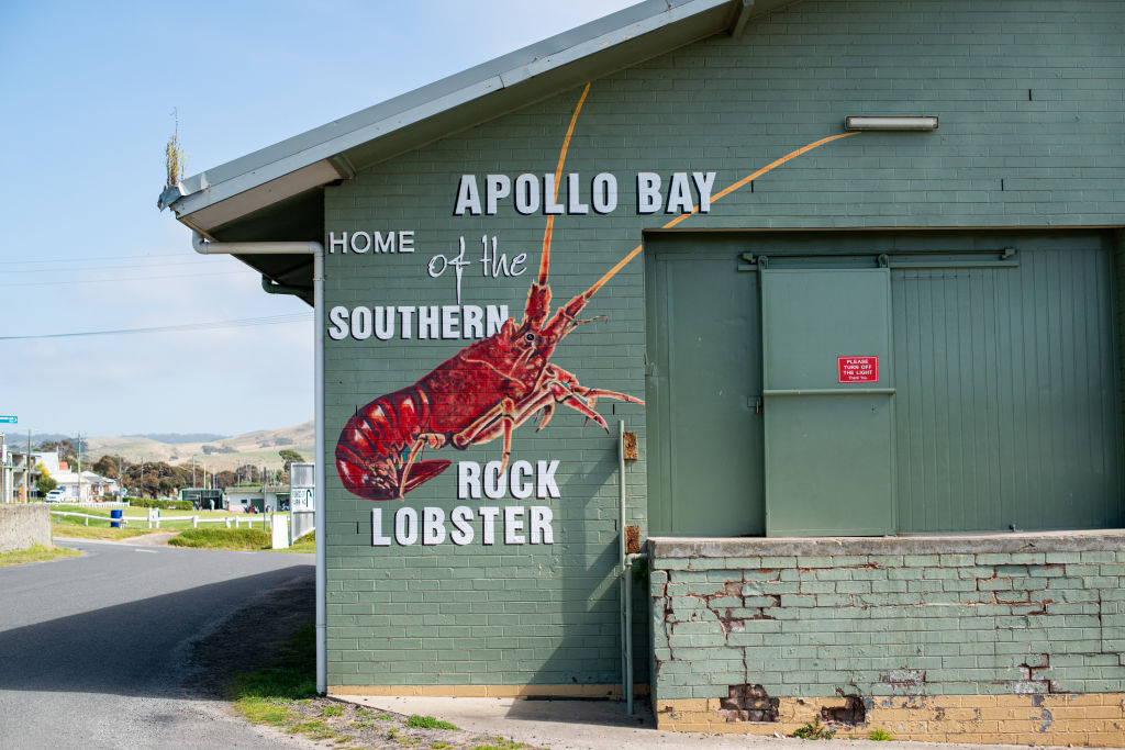 Apollo Bay: The best place to get a scallop pie in Australia