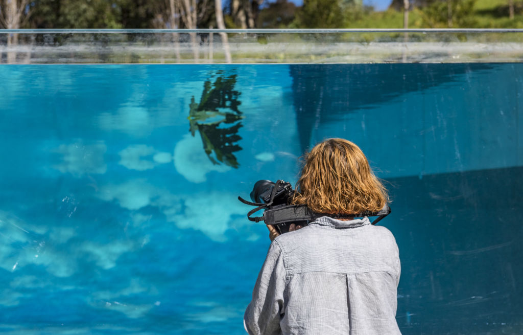 Best pools Australia: Photographer selling pool that doubles as ...