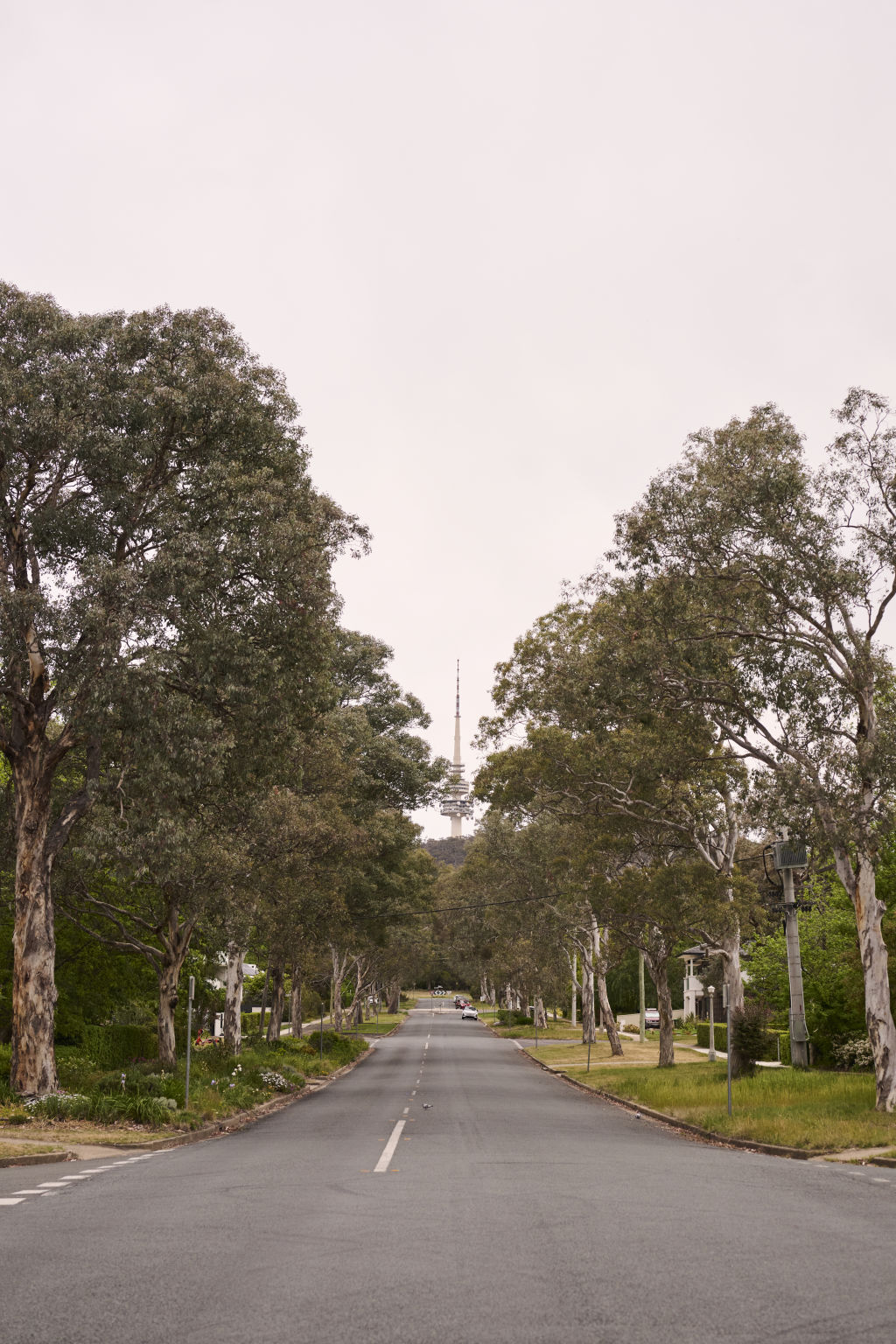 Canberra property market holds firm as winter slowdown shifts buyer ...