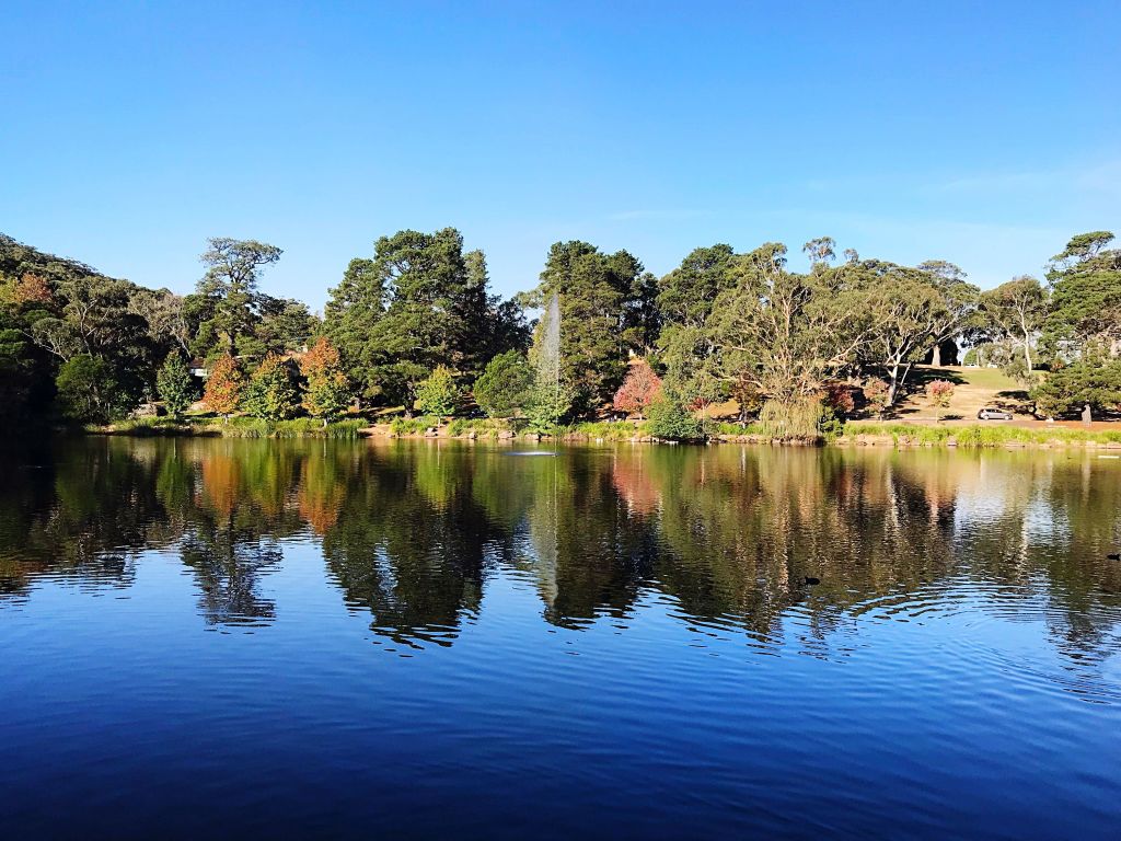 Mittagong: The Southern Highlands 'burb Sydney buyers are flocking to