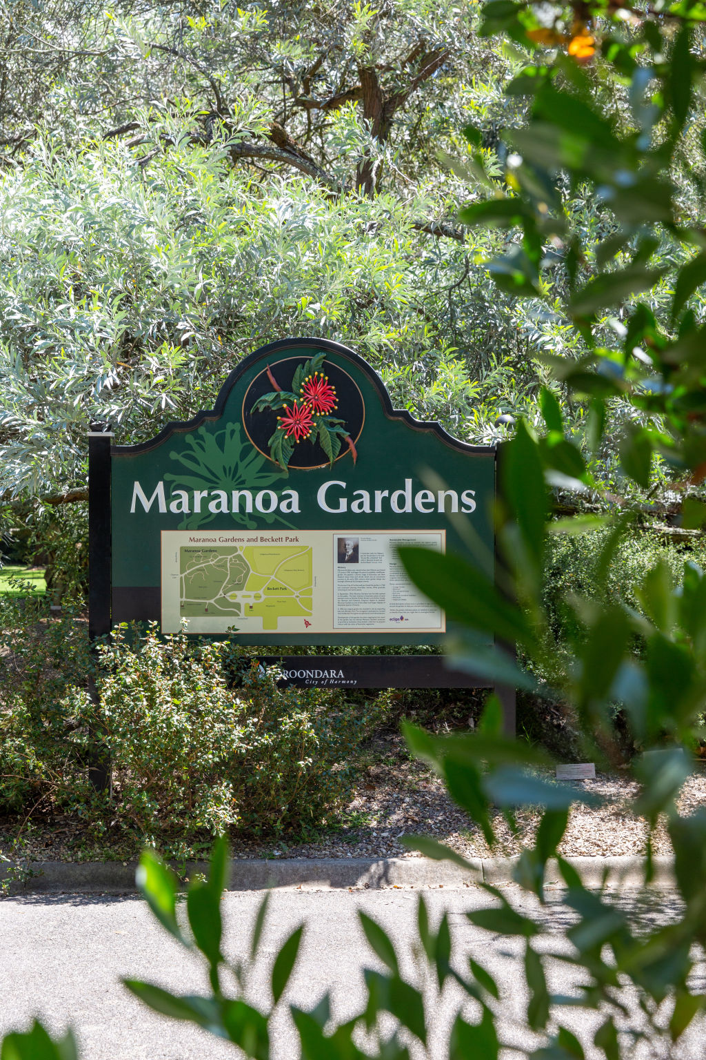 Balwyn: the suburb busting myths about its image