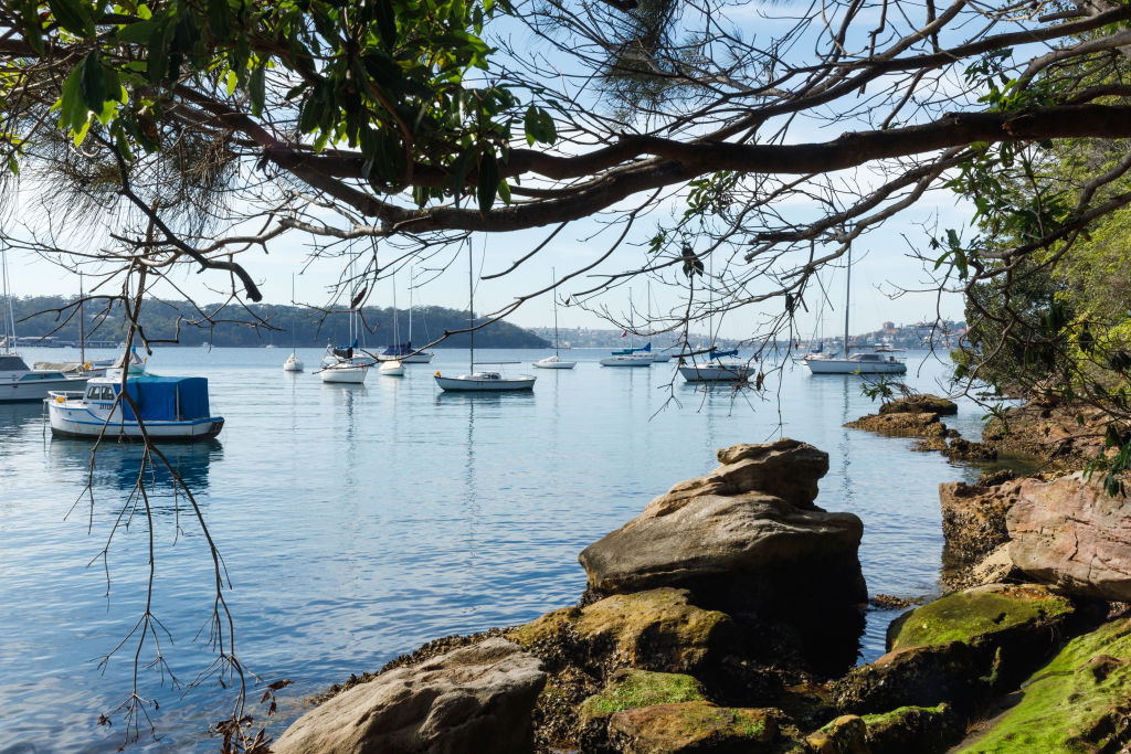 Why locals are living in paradise in Cremorne Point, the low key ...