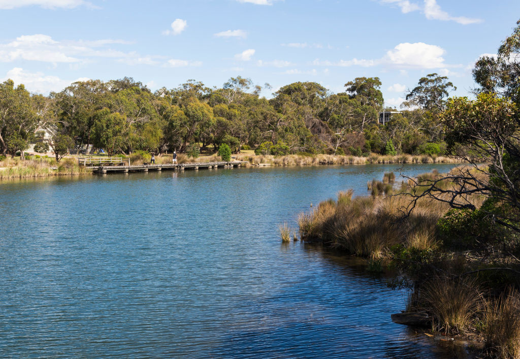 Anglesea: The now bougie beach town formally known as Swampy Creek
