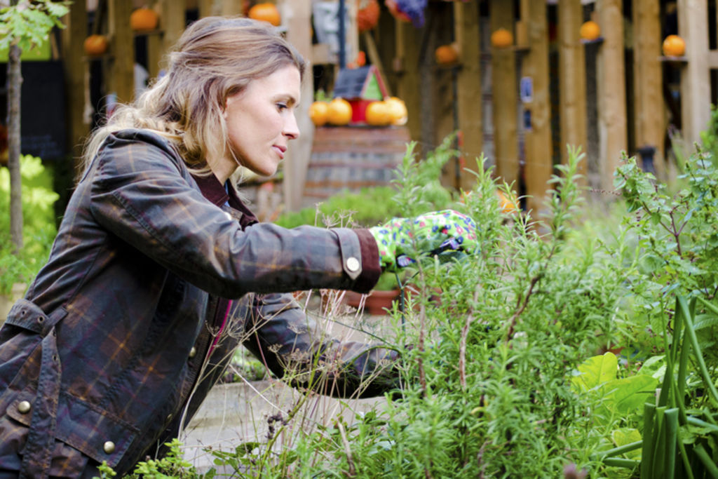 Gardening: Three fundamental ways to prevent pests in your garden