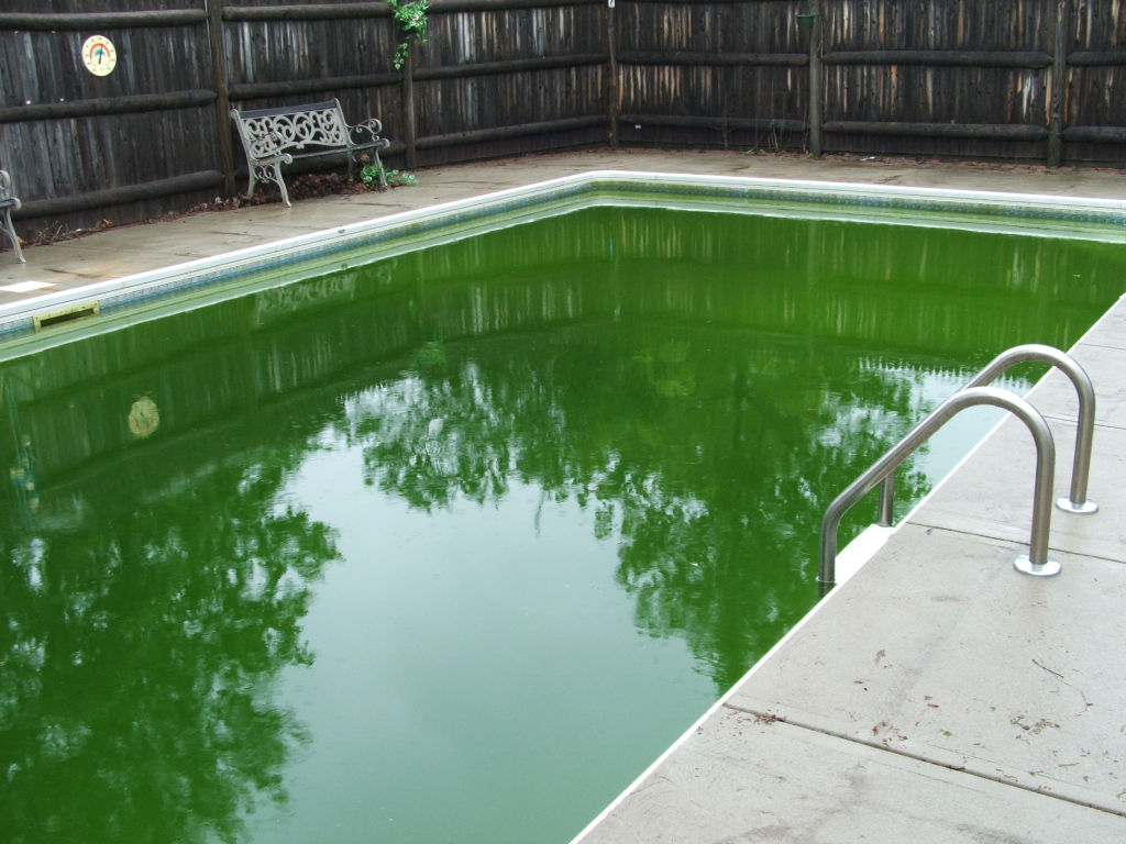 How to turn your pool from green to blue in six simple steps